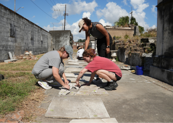 Wonders Worth Protecting: A collaboration and conversation with World ...